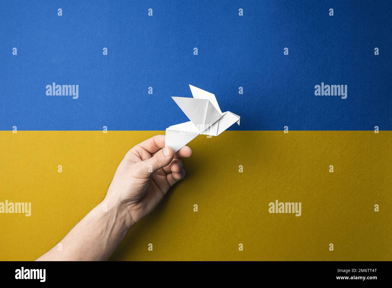 hand releases white paper dove bird Stock Photo - Alamy