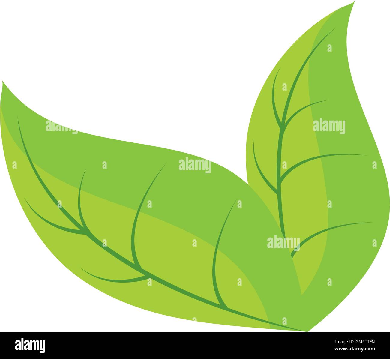 leaves icon white background Stock Vector Image & Art - Alamy