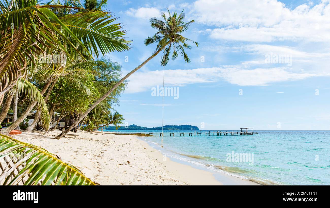 Low hanging palm tree with a swing on the Island of Koh Kood tropical ...