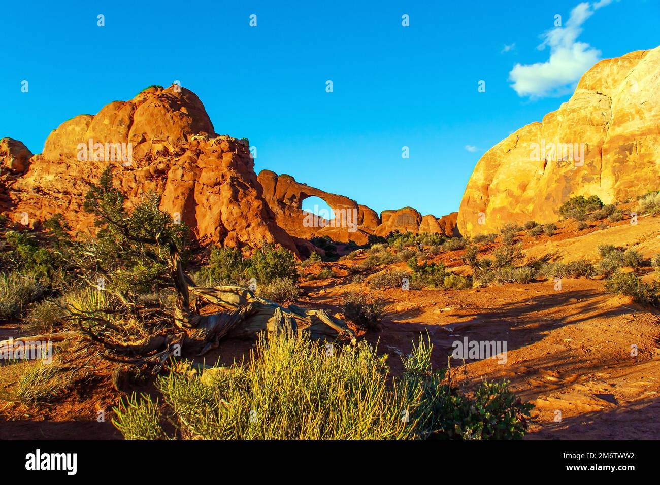 Picturesque red-brown sandstone Stock Photo - Alamy