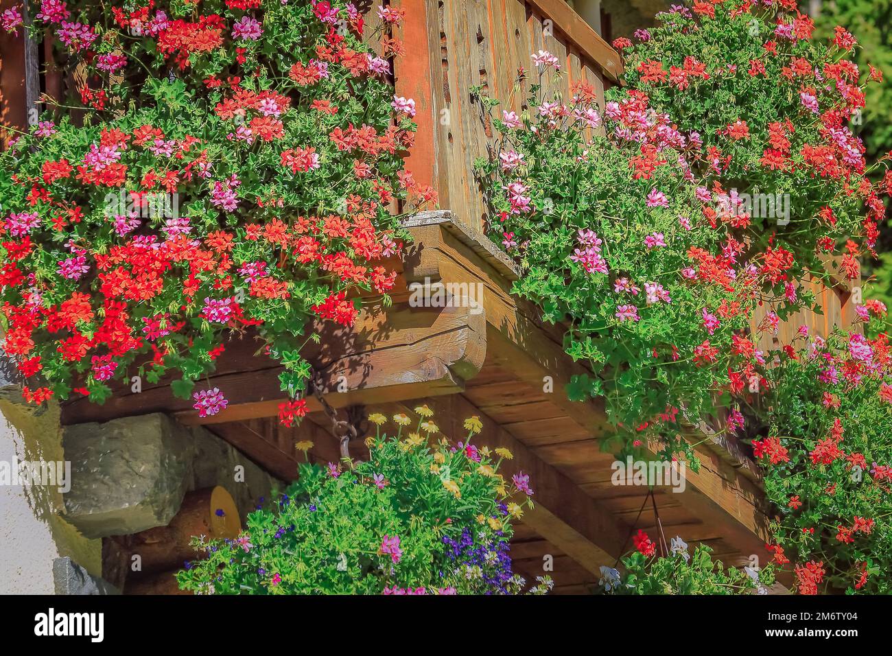 Flowers in rustic balcony at springtime, Interlaken, Switzerland Stock Photo - Alamy
