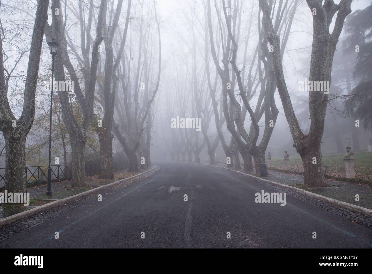 A road on Janiculum hill in Rome wrapped in thick fog (Photo by Matteo ...