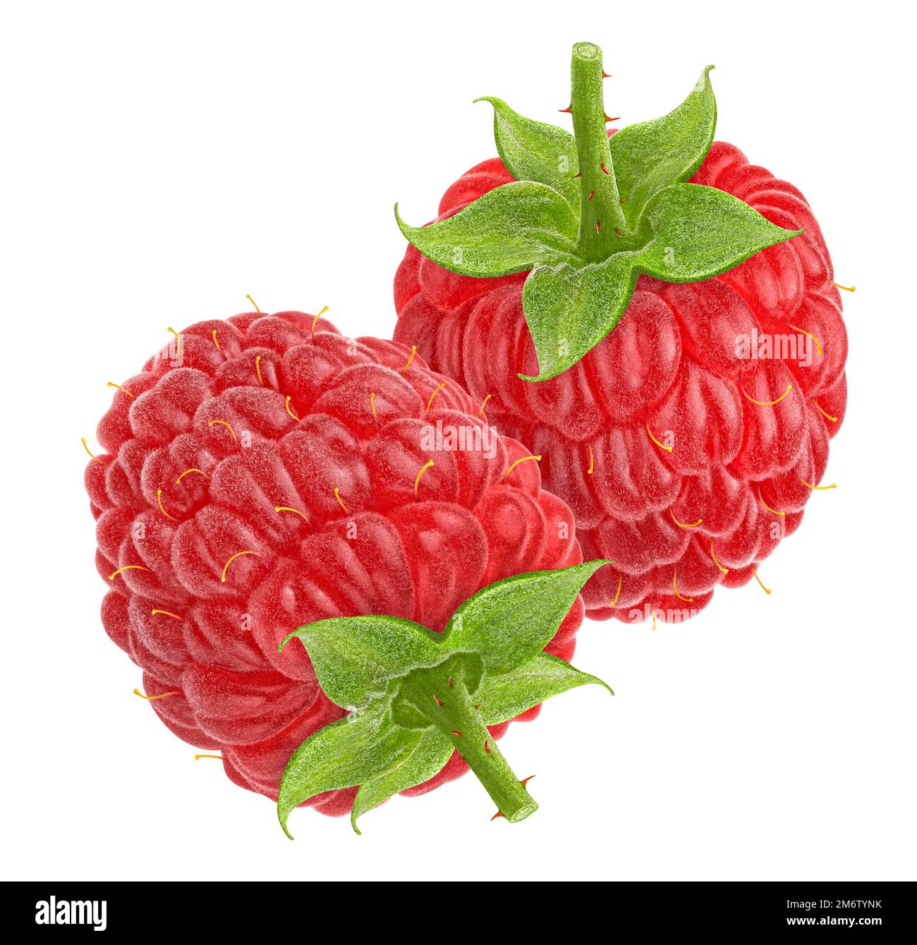 Raspberry isolated on white background, full depth of field Stock Photo ...