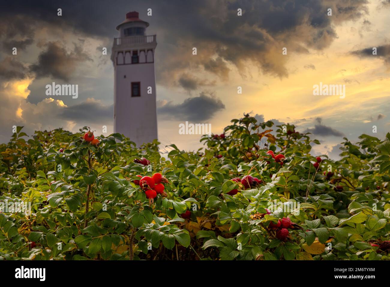 Lilleba lt hi-res stock photography and images - Alamy