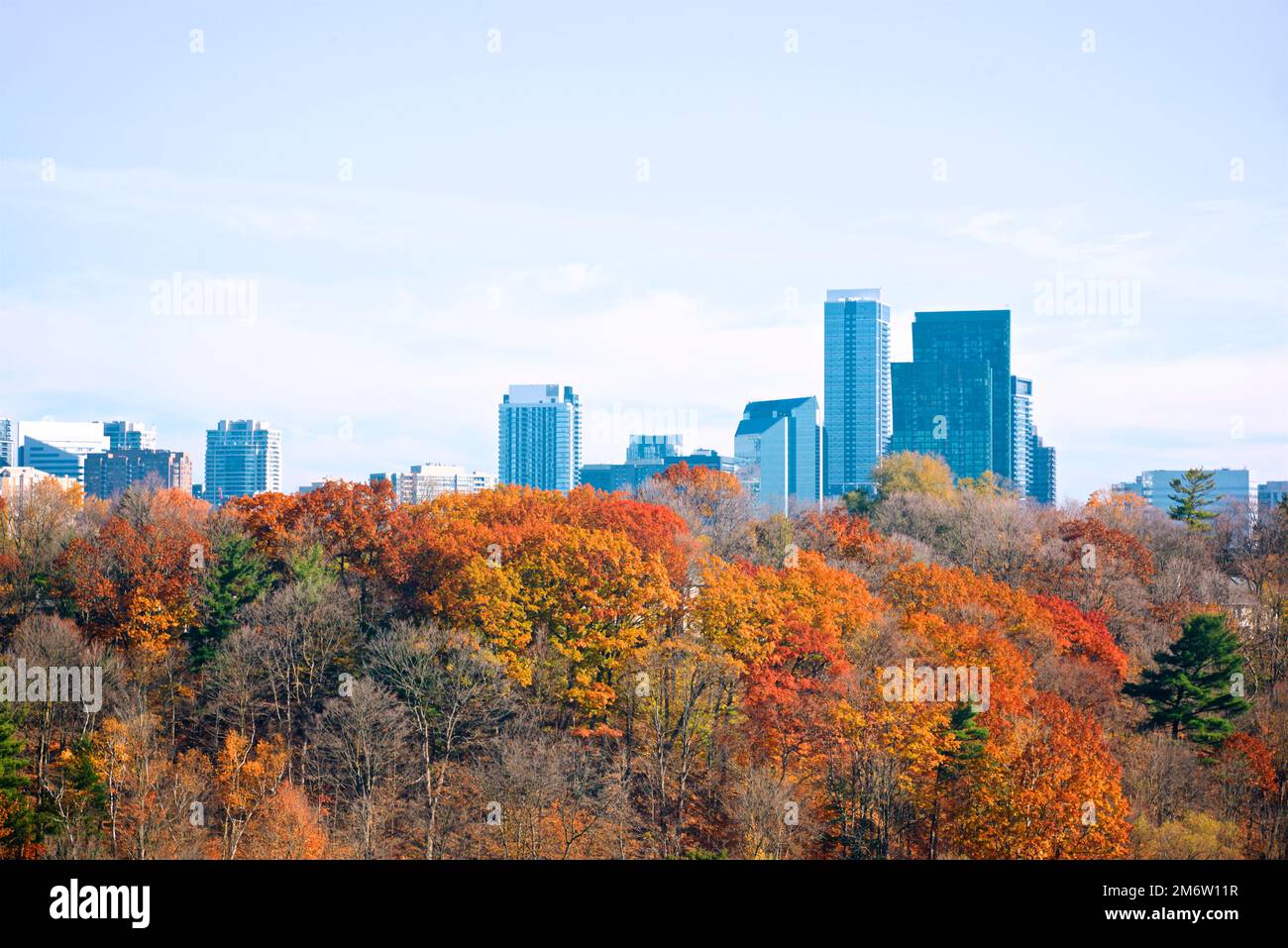Office buildings and apartments with autumn leaf colour Stock Photo - Alamy