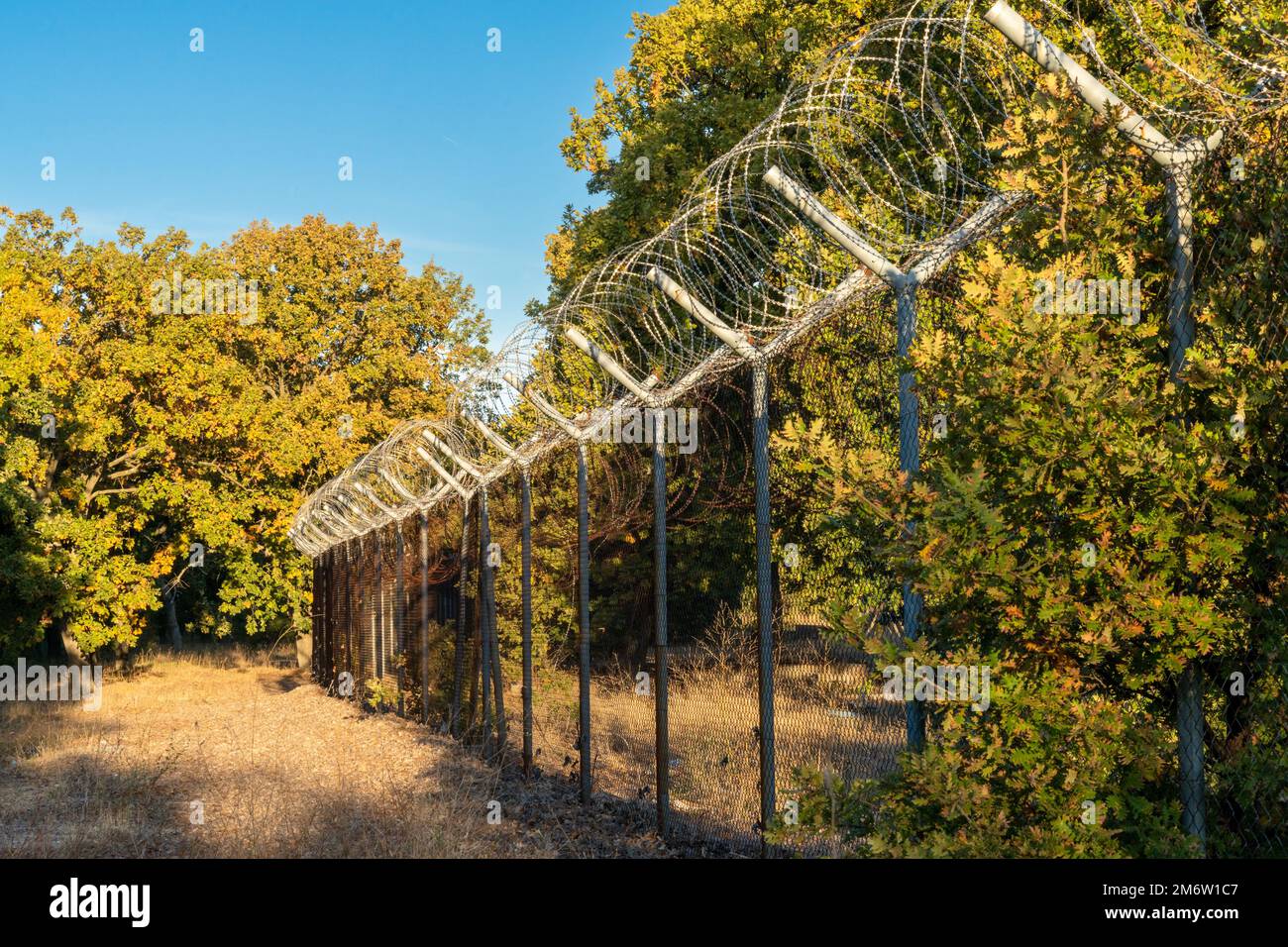 A view of a tall fence with barbed wire leading through forest on the ...