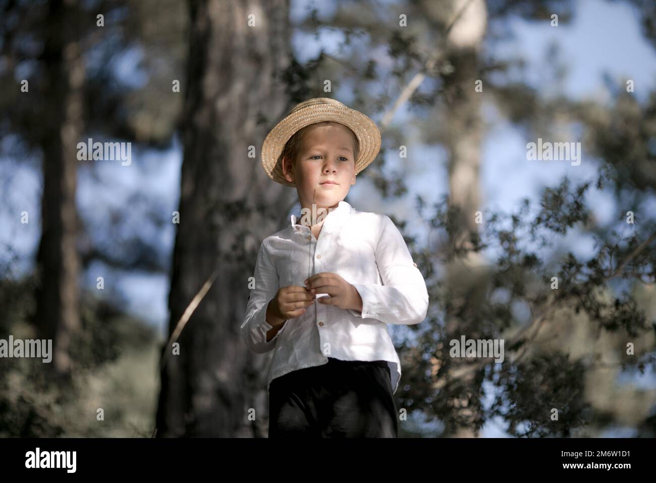 Small farm boy, smiling and looking at the camera, stands in forest ...