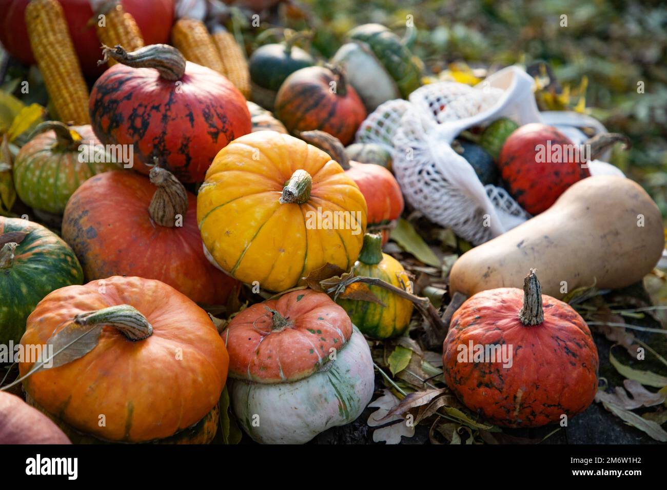 Vegetable vector design hi-res stock photography and images - Alamy
