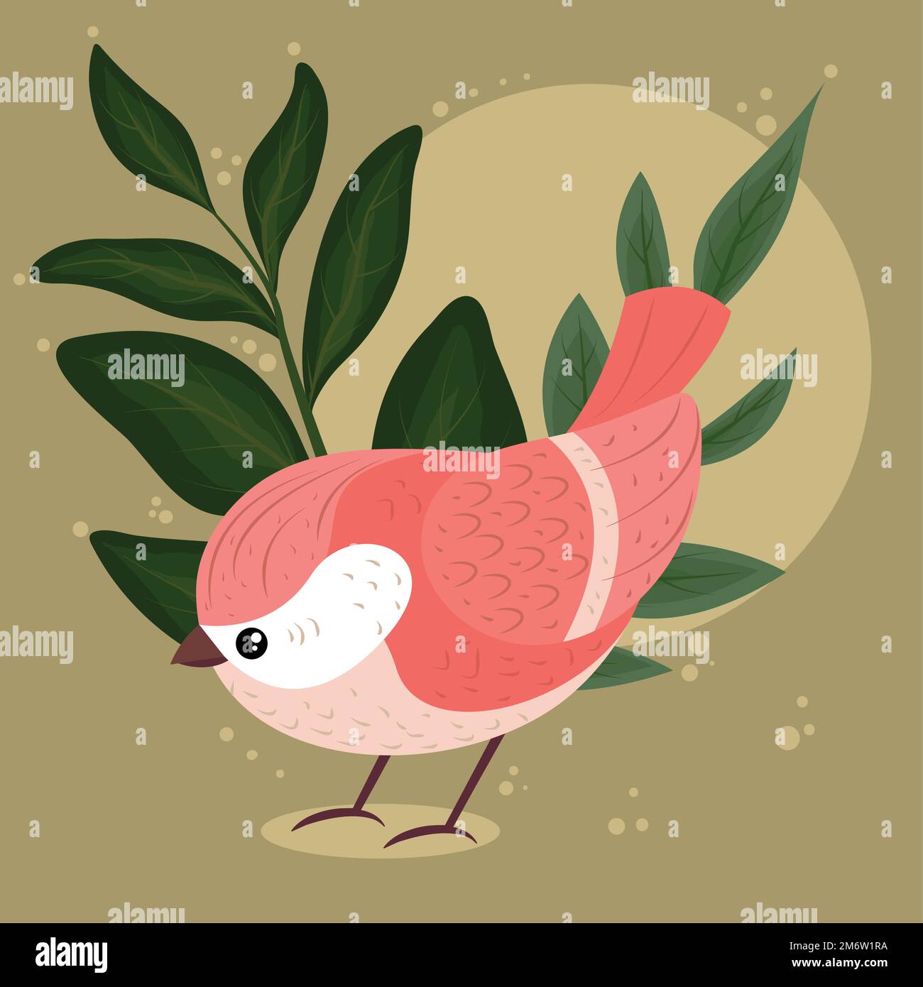bird vector design Stock Vector Image & Art - Alamy