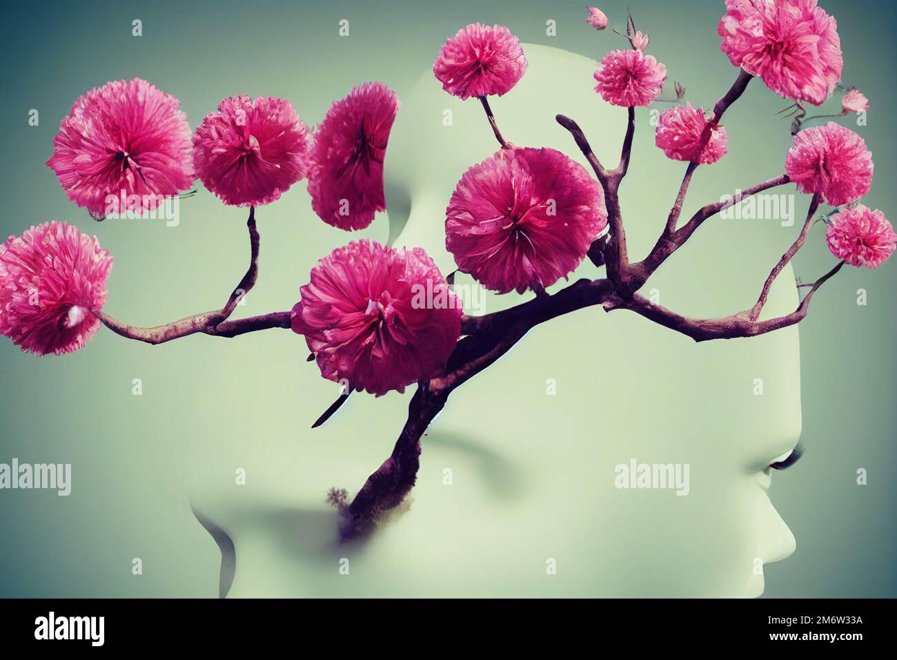 Pink flowers on beautiful woman head on pink background Stock Photo - Alamy