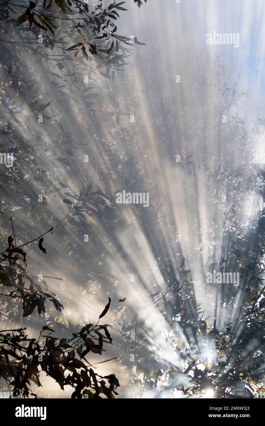 The rays of fire hi-res stock photography and images - Alamy