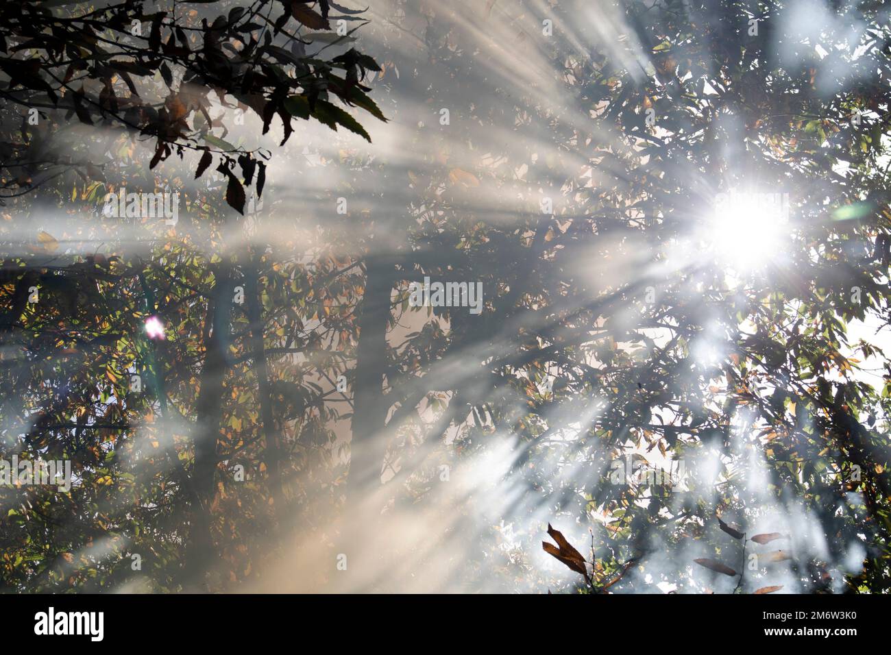 The rays of fire hi-res stock photography and images - Alamy