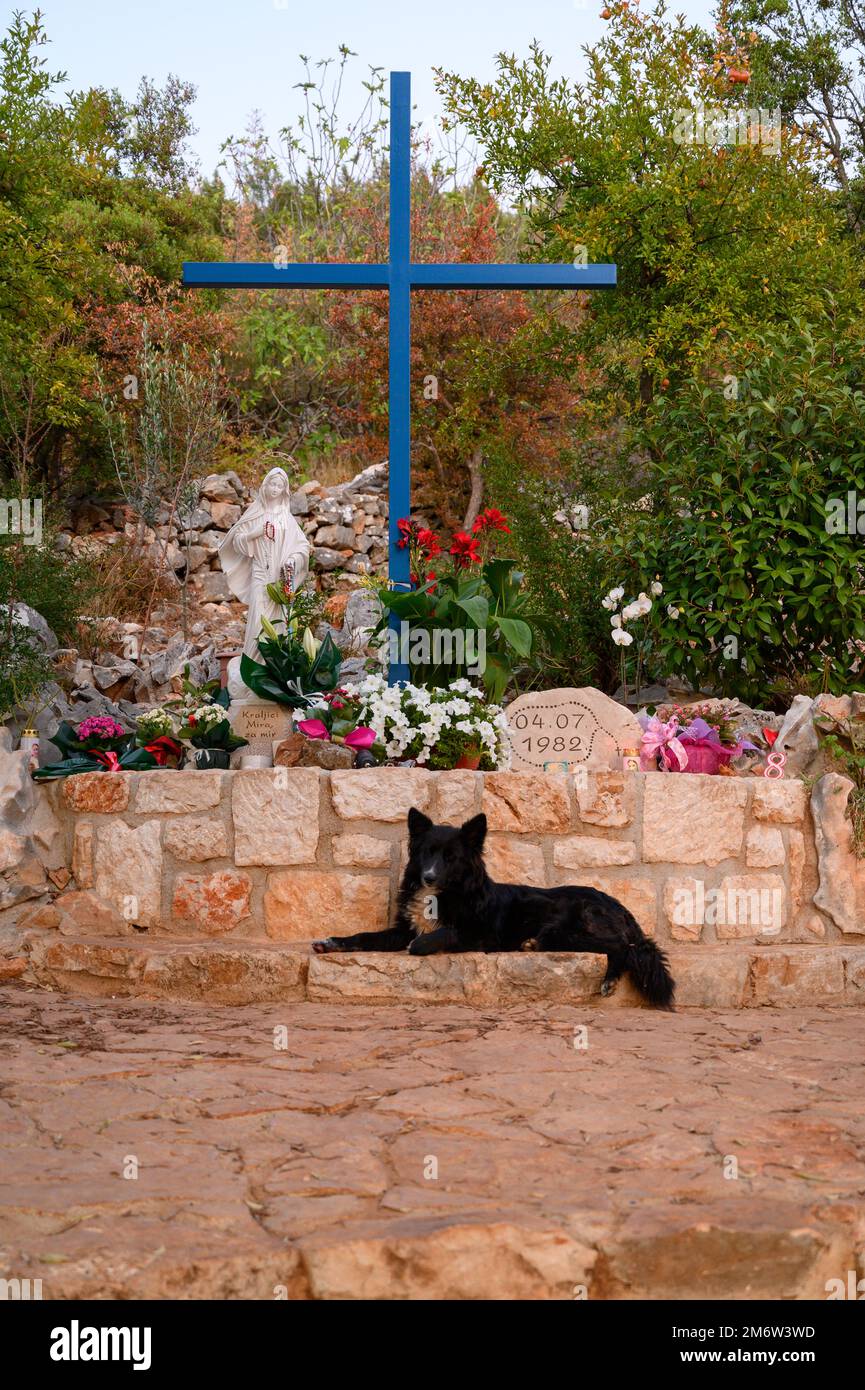 The Blue Cross and a free-ranging dog in Medjugorje. A free-ranging dog ...