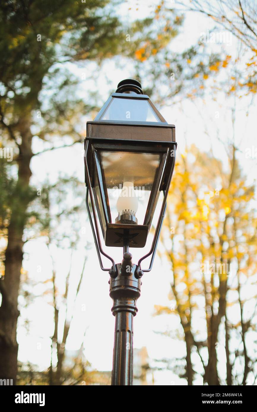 street photography graffiti lamps park signs stop no parking signs ...