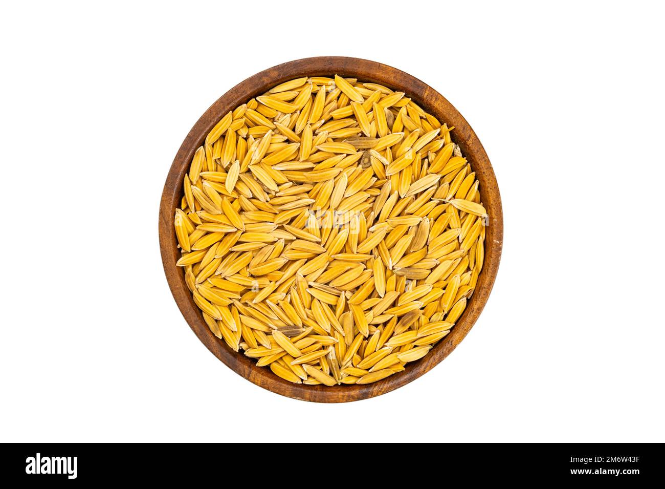 Top view, flat lay of closeup dry freshly harvested paddy in wooden ...