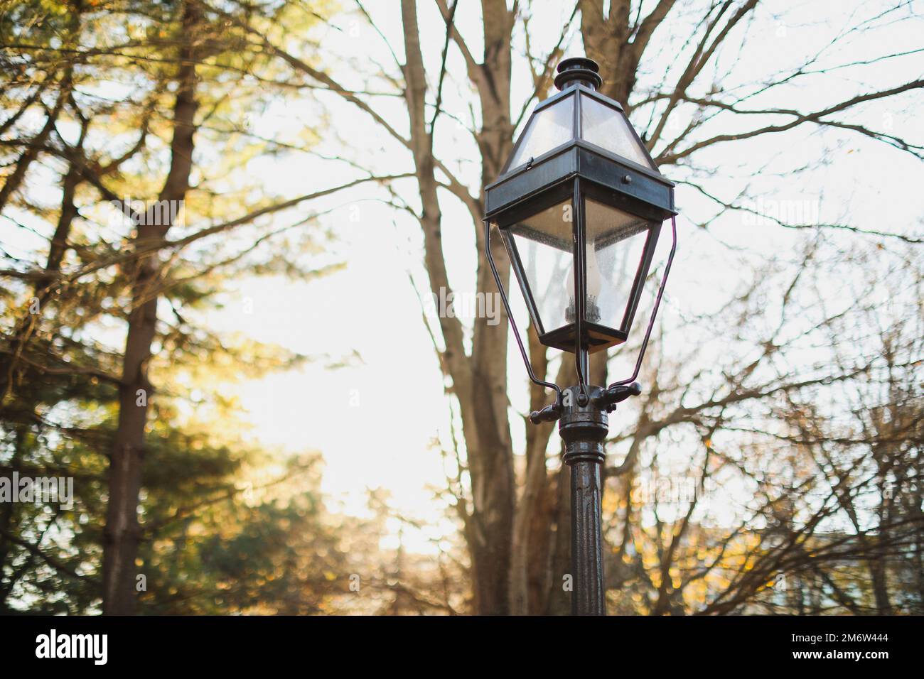 street photography graffiti lamps park signs stop no parking signs ...
