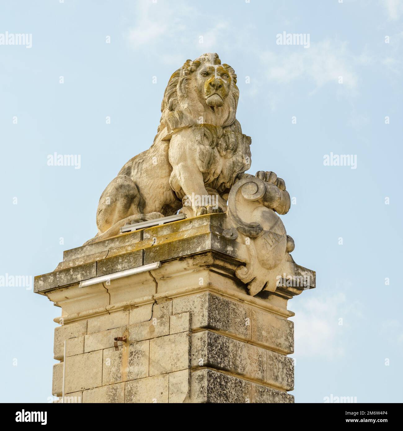 Roman lion statue hi-res stock photography and images - Alamy