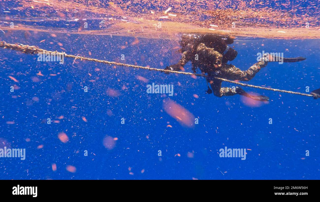 A Special Forces Combat Diver with 2nd Battalion, 10th Special Forces ...