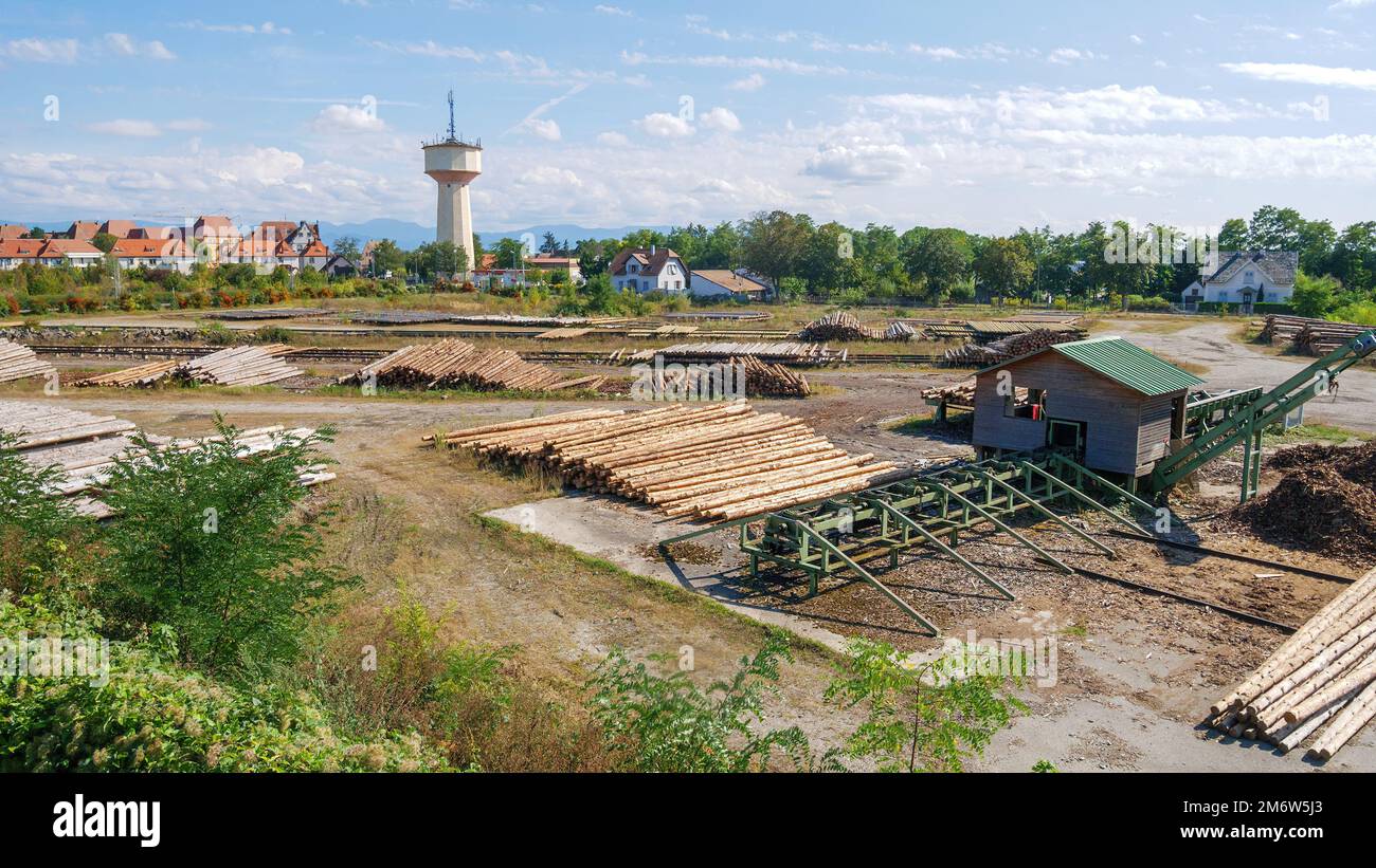 Wood factory with tree trunks Stock Photo - Alamy