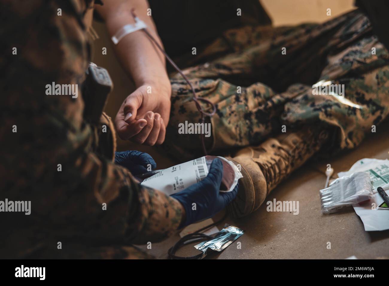 Valkyrie blood transfusion hi-res stock photography and images - Alamy