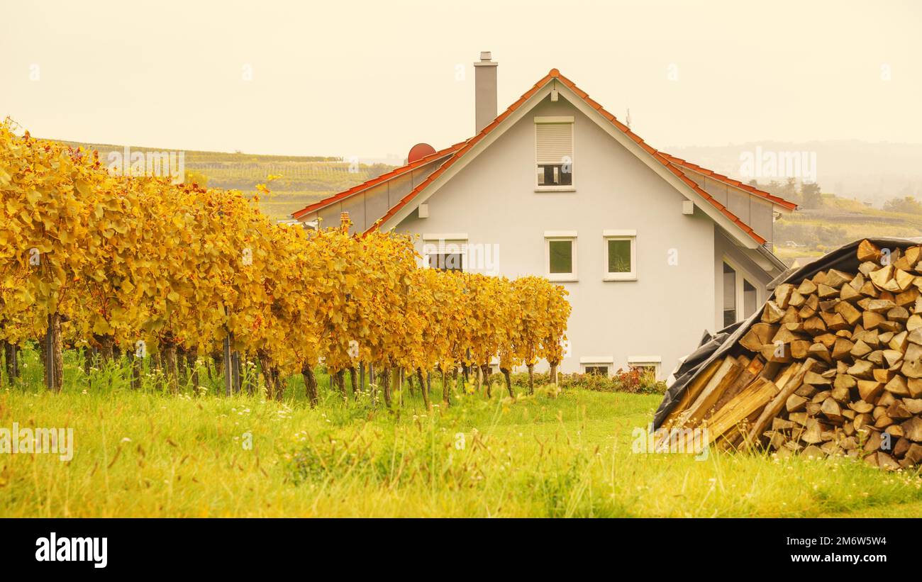 Outdoor vineyard hi-res stock photography and images - Alamy