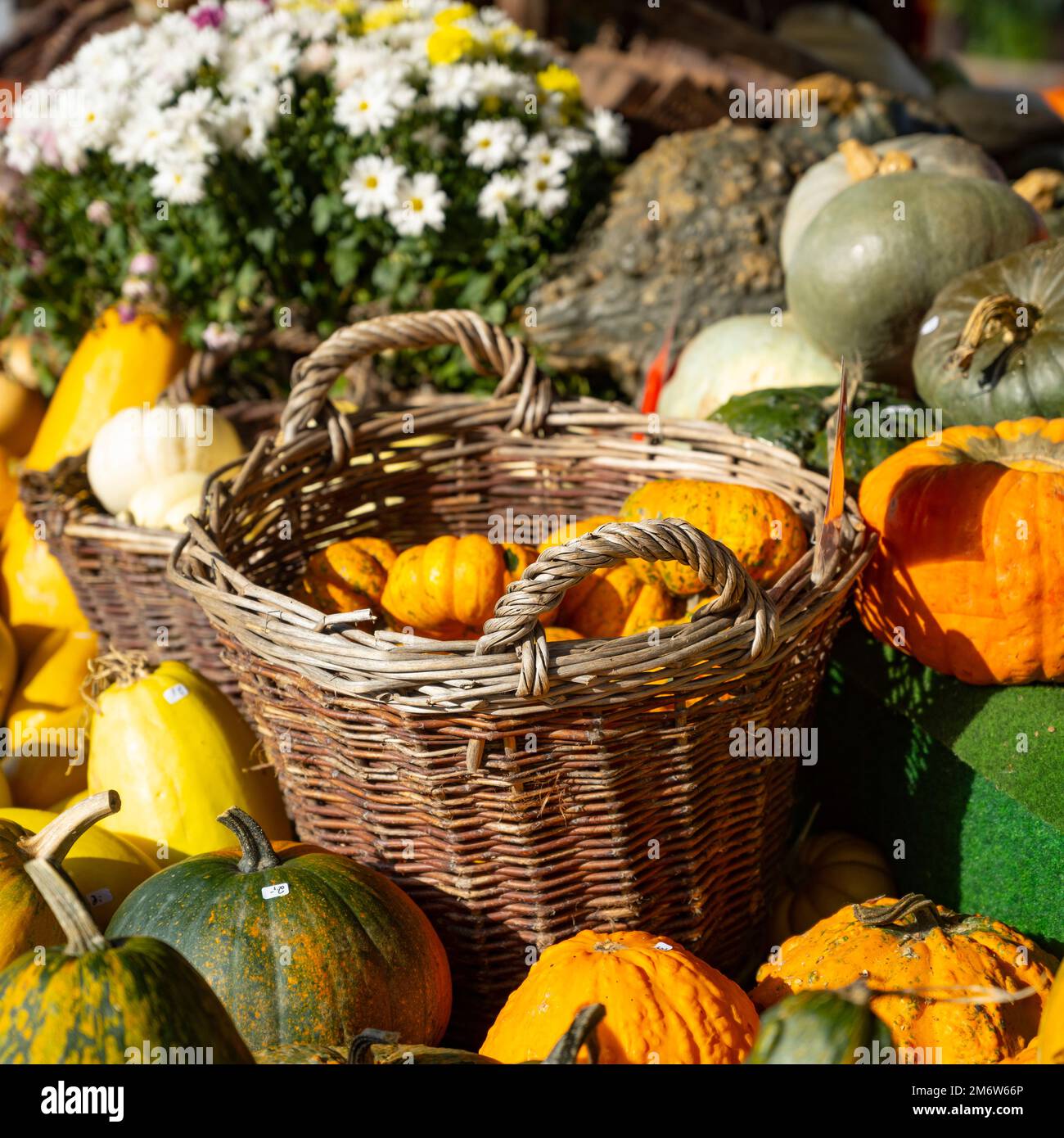 Boost Fall Sales with Pumpkin Merchandising Stock Photo - Alamy