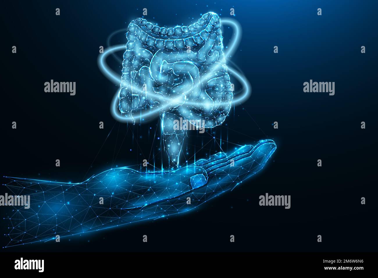 Intestinal recovery. Polygonal vector illustration of a hand with a ...