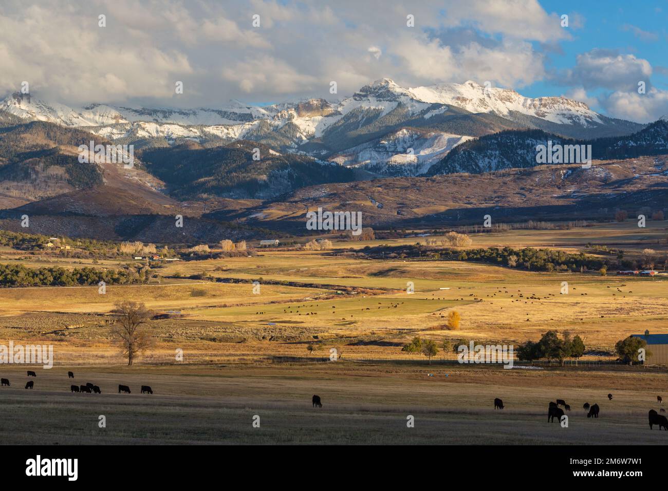 Late autumn in Colorado Stock Photo - Alamy