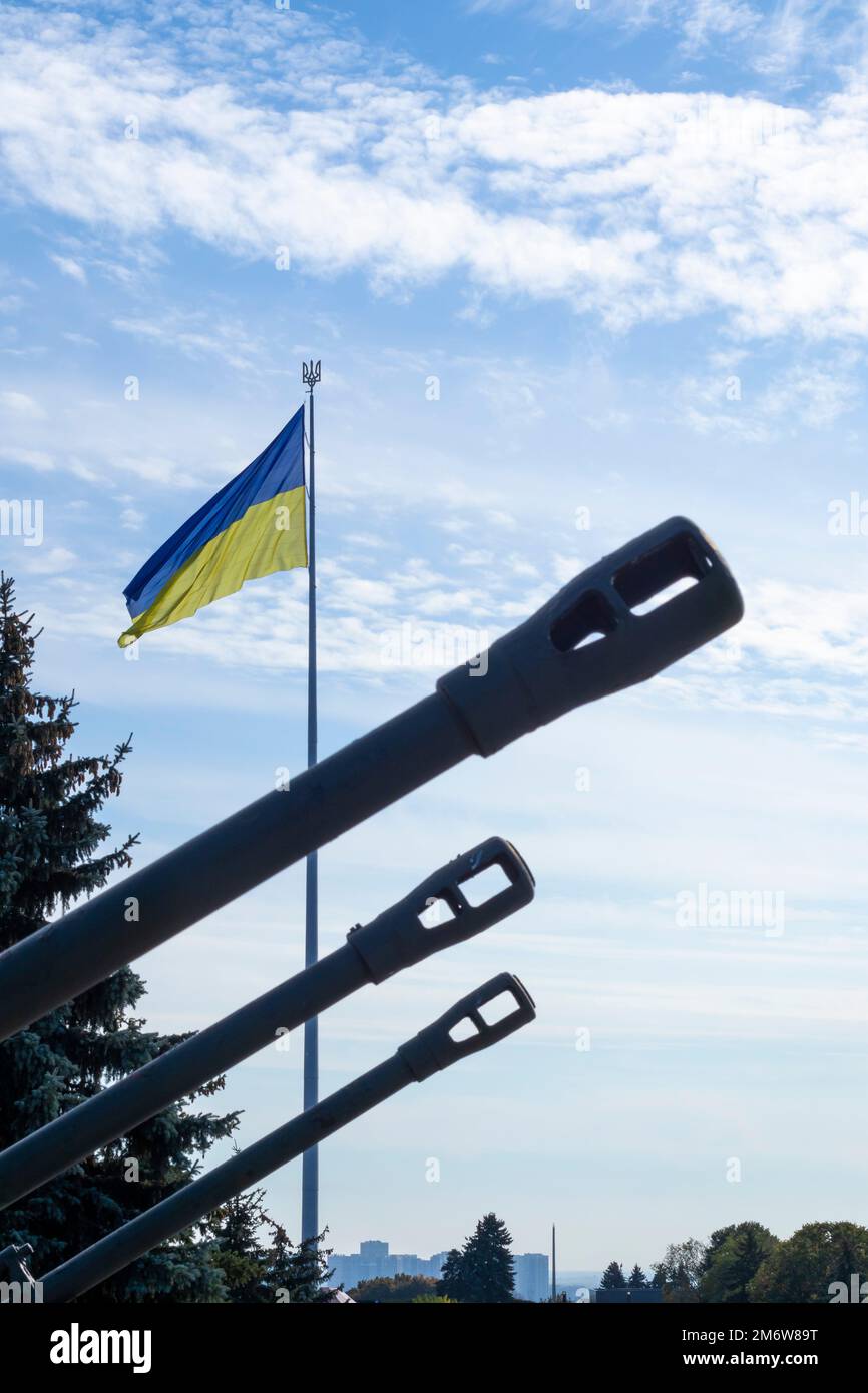 Groups of ancient military guns against the background of the State ...