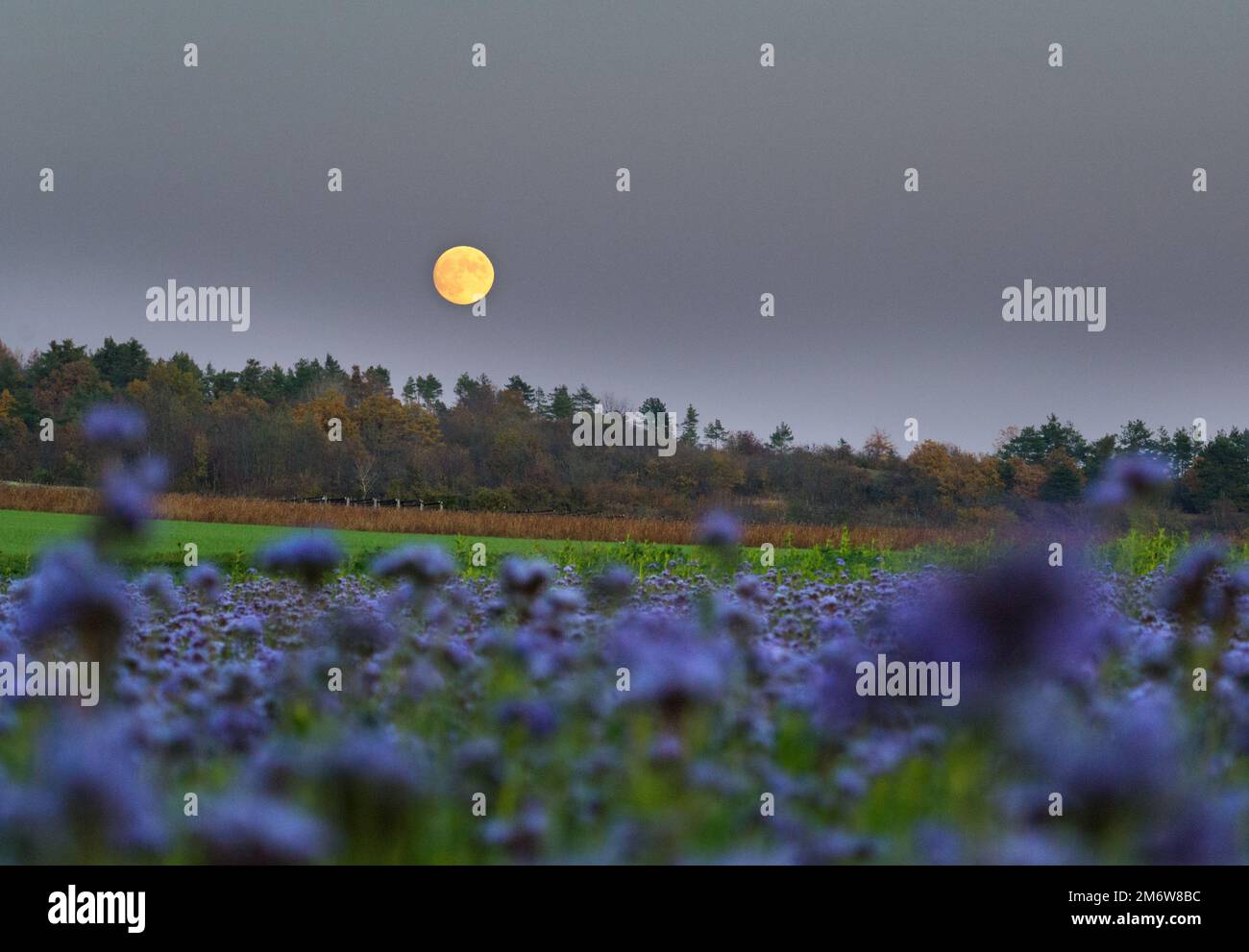 Sun rising over dark ridge hi-res stock photography and images - Alamy