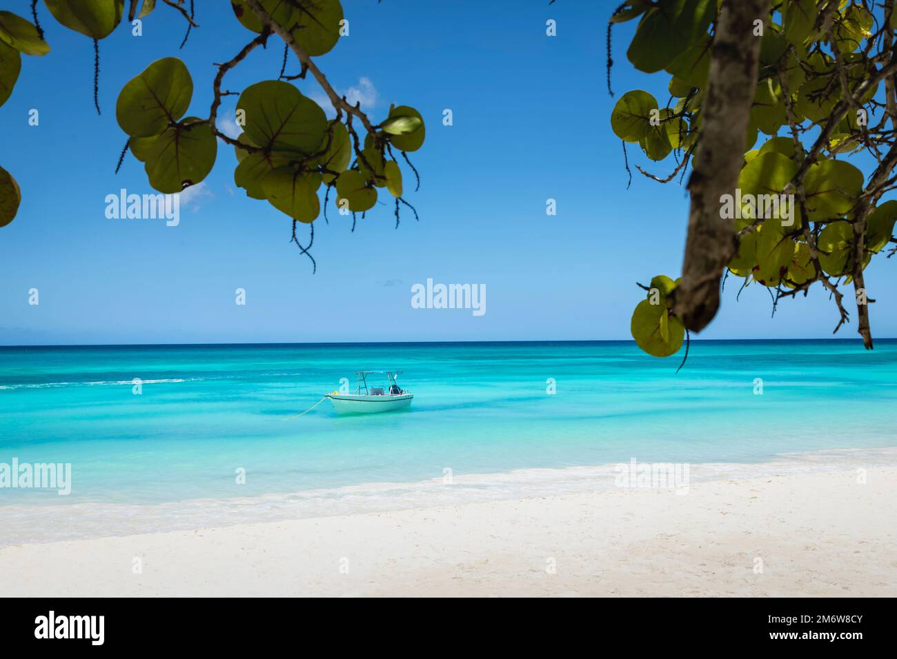 Tropical paradise, sand beach in caribbean Saona Island, Punta Cana ...