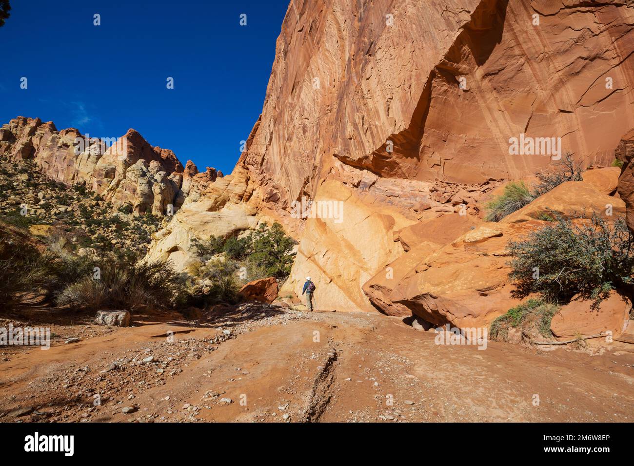 Hike in Utah Stock Photo - Alamy