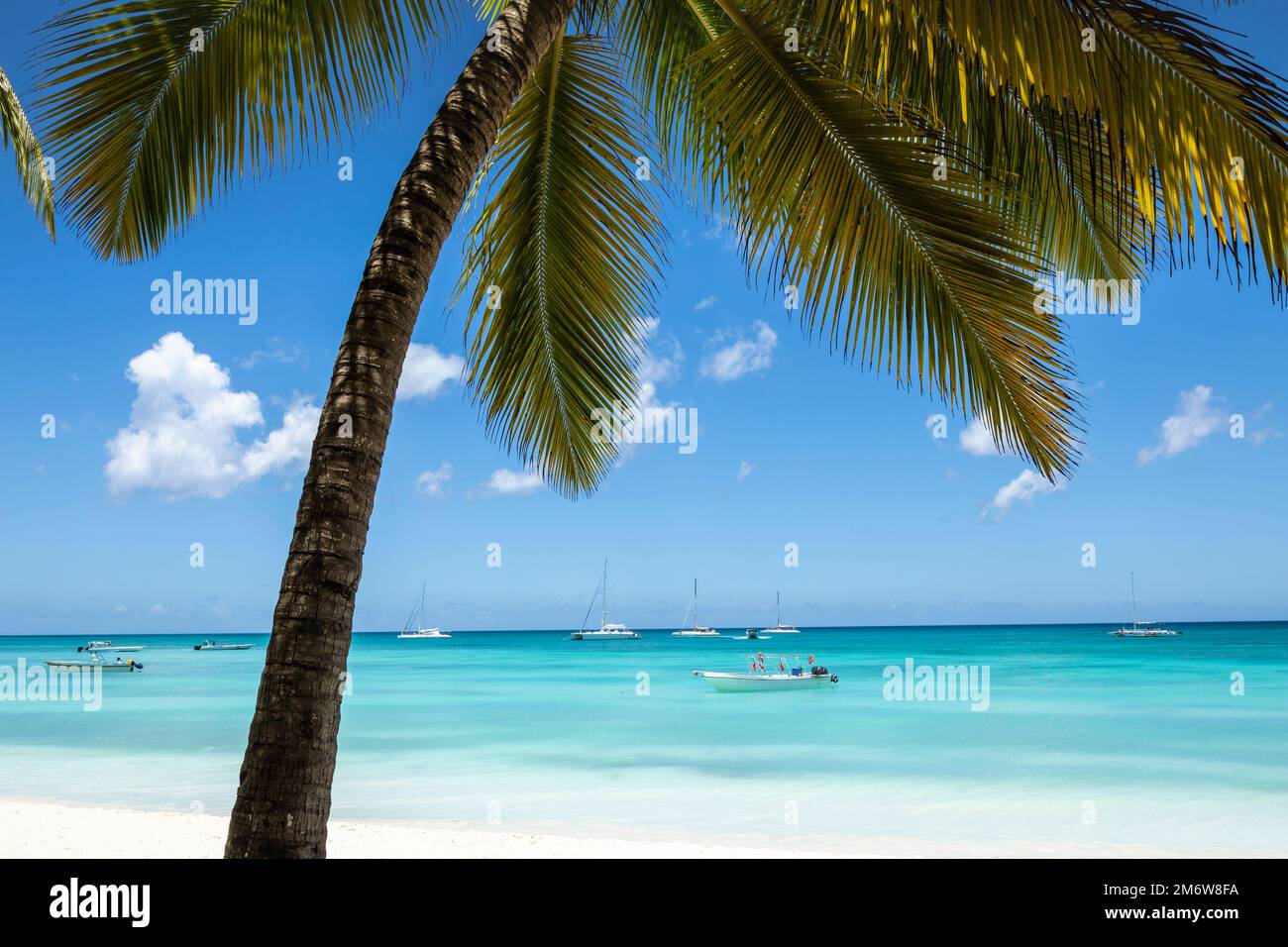 Tropical paradise, sand beach in caribbean Saona Island, Punta Cana ...