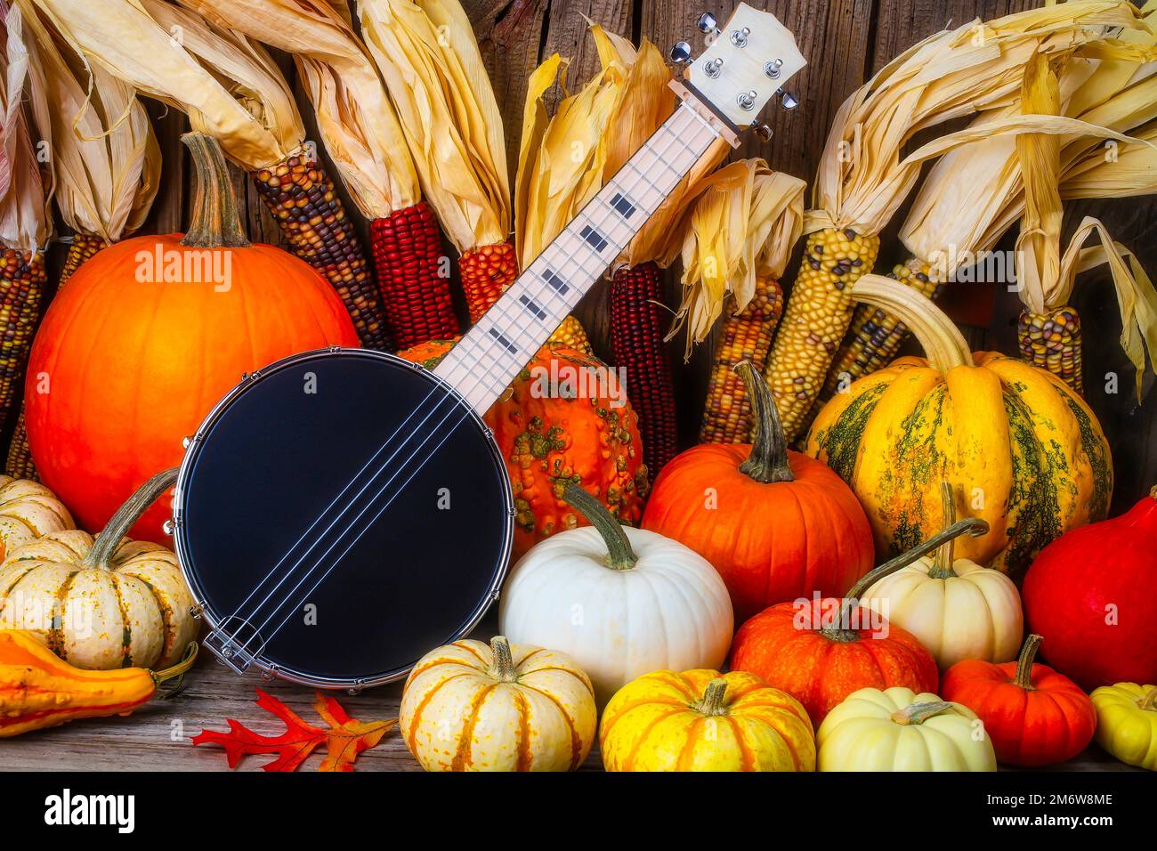 Black Banjo Pumpkin Still Life Stock Photo - Alamy