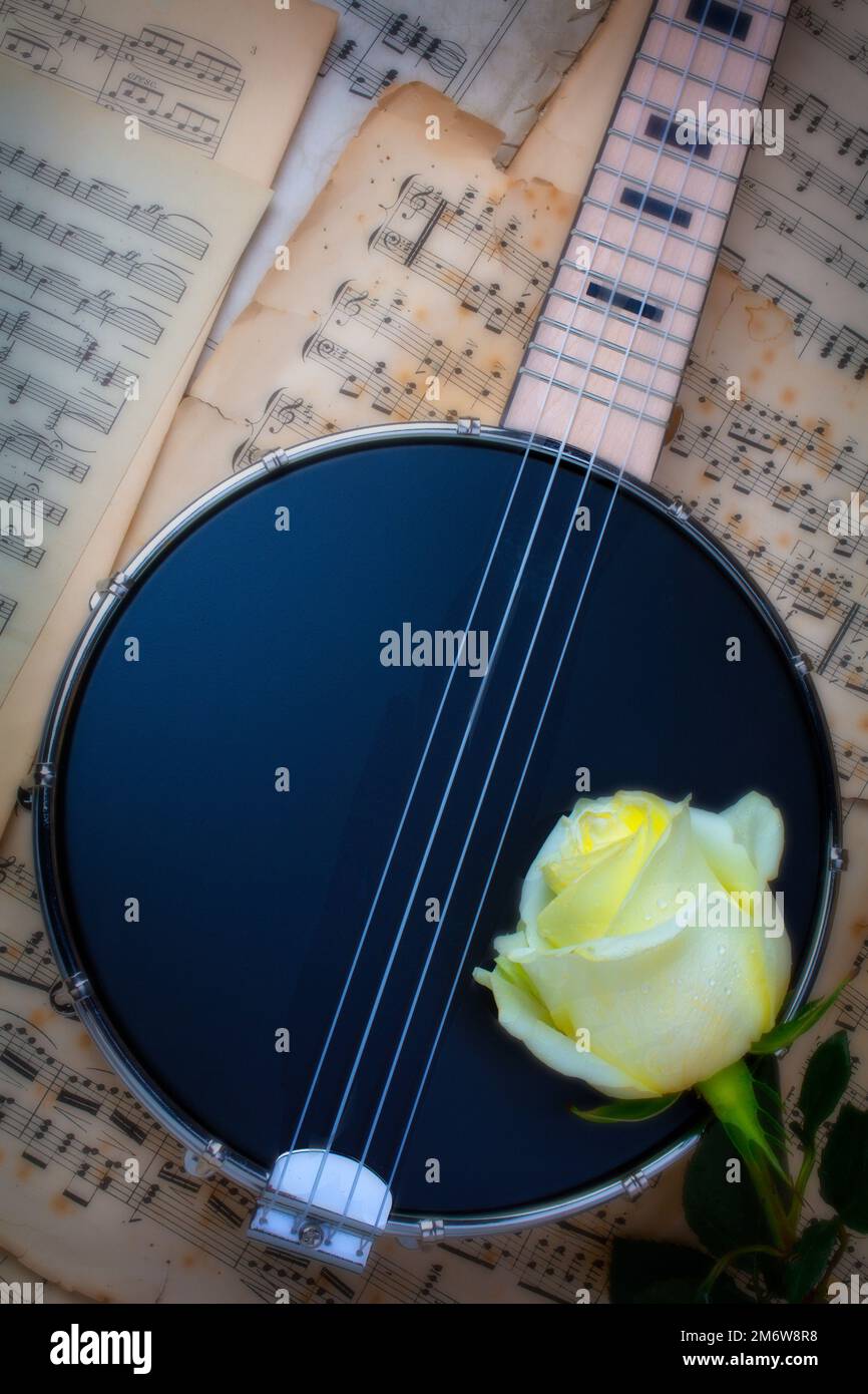 Black Banjo And White Rose Stock Photo - Alamy
