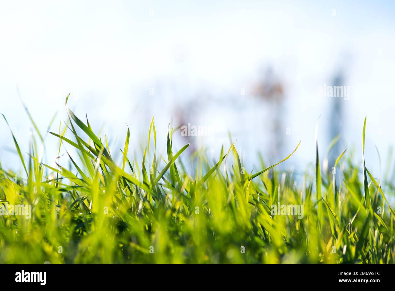Vineyard backdrop hi-res stock photography and images - Alamy