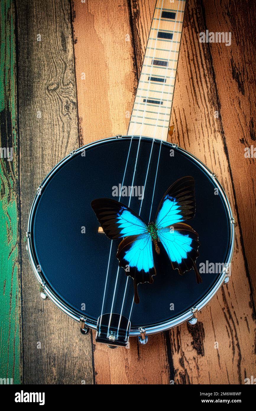 Black Banjo And Blue Butterfly Stock Photo - Alamy