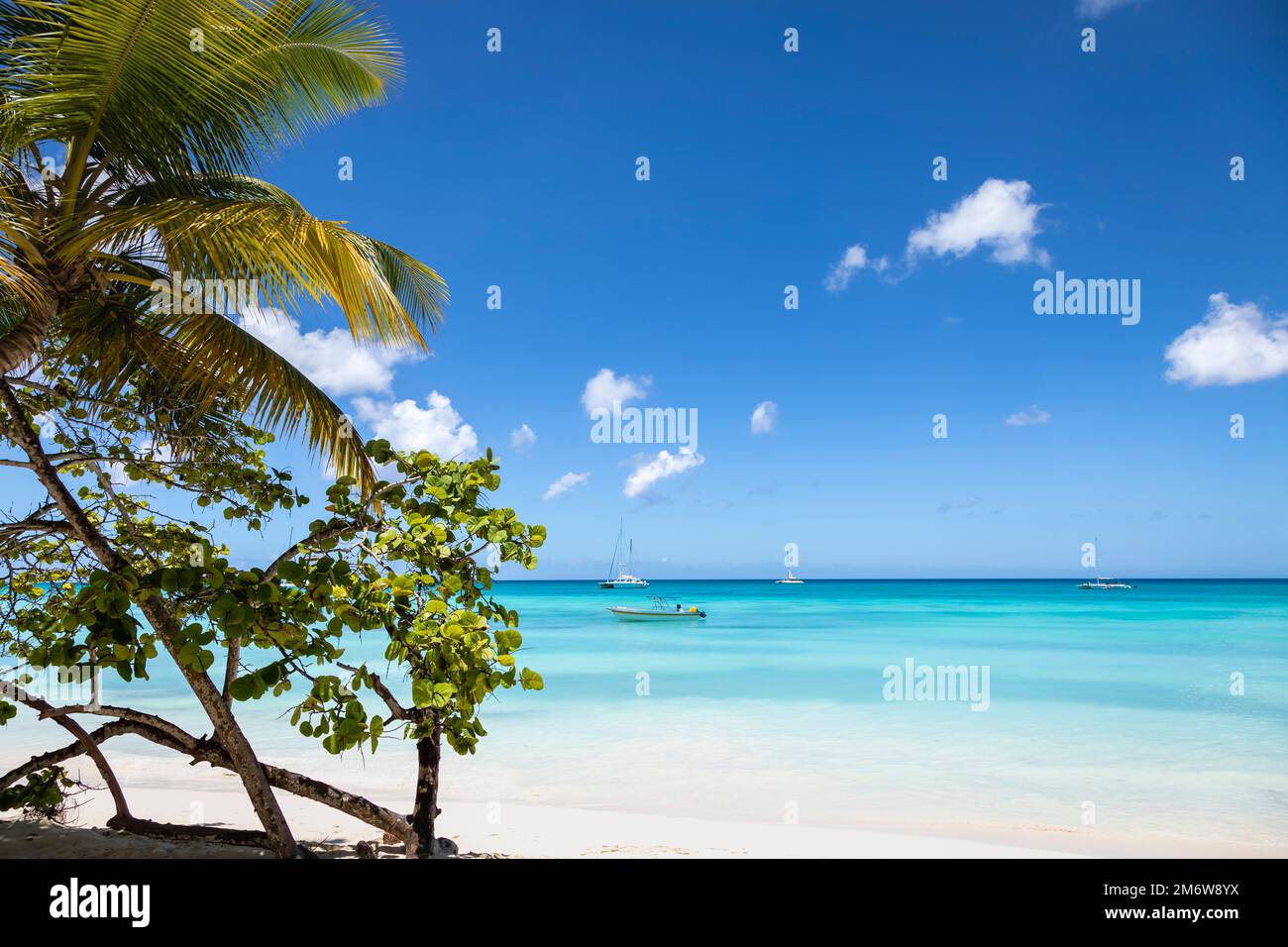 Tropical paradise, sand beach in caribbean Saona Island, Punta Cana ...