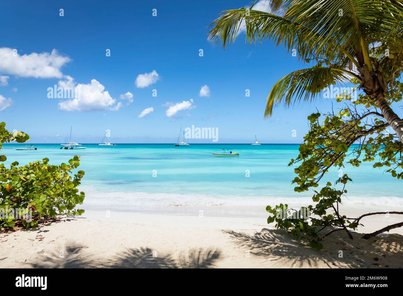 Tropical paradise, sand beach in caribbean Saona Island, Punta Cana ...