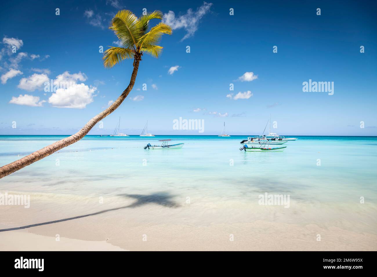 Tropical paradise, sand beach in caribbean Saona Island, Punta Cana ...