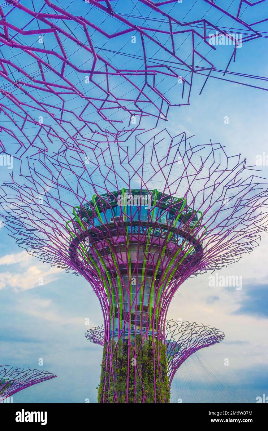 Canopy of Supertrees at Supertree Grove, Gardens By The Bay, Singapore ...