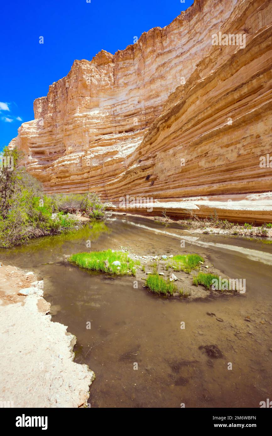Puddle exploration hi-res stock photography and images - Alamy