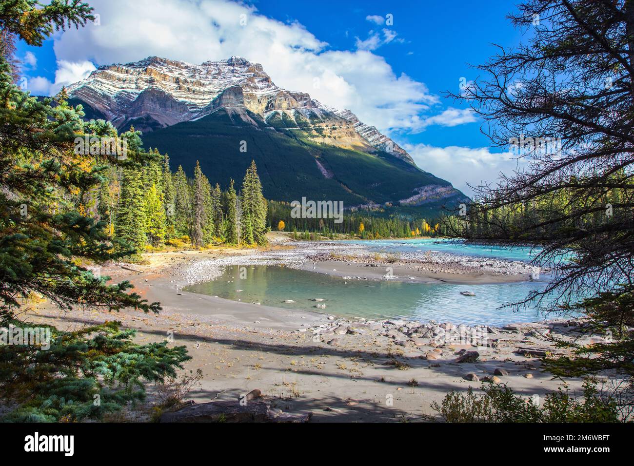 Jasper canada landscape forest hi-res stock photography and images - Alamy