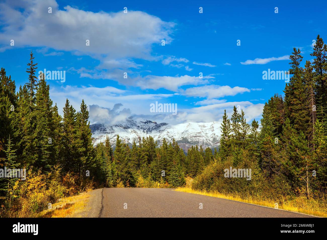 With magnificent forests hi-res stock photography and images - Alamy