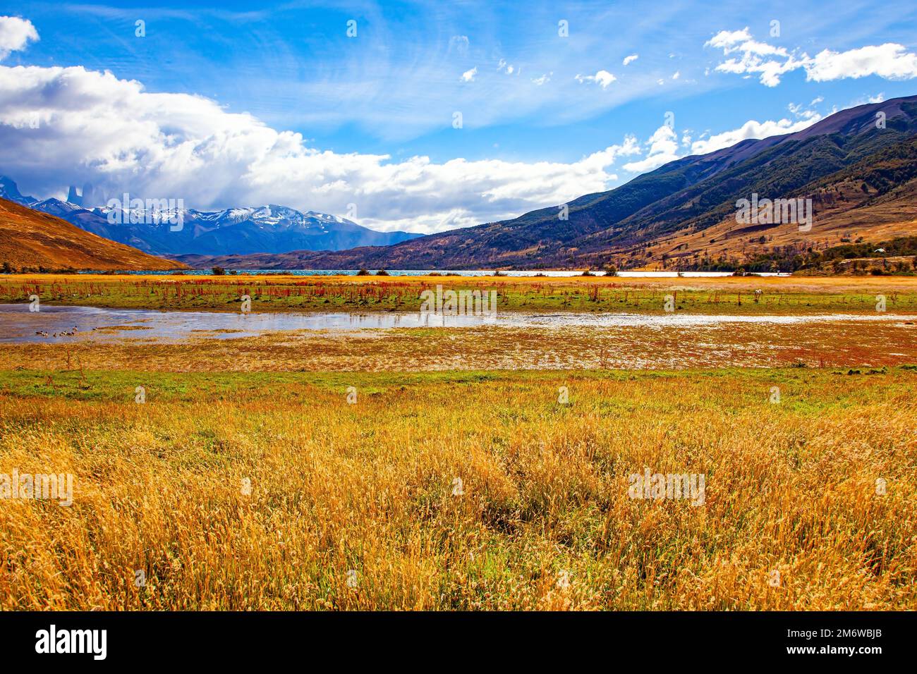 The small puddle Stock Photo - Alamy