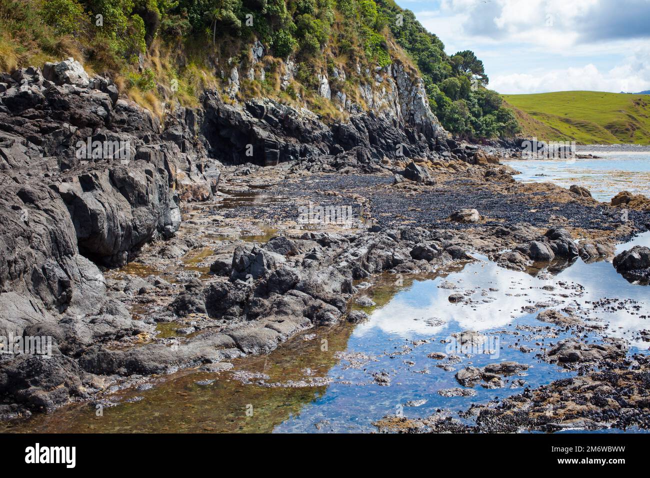 A Look at Life in New Zealand: abundant seafood, edible seaweeds and ...