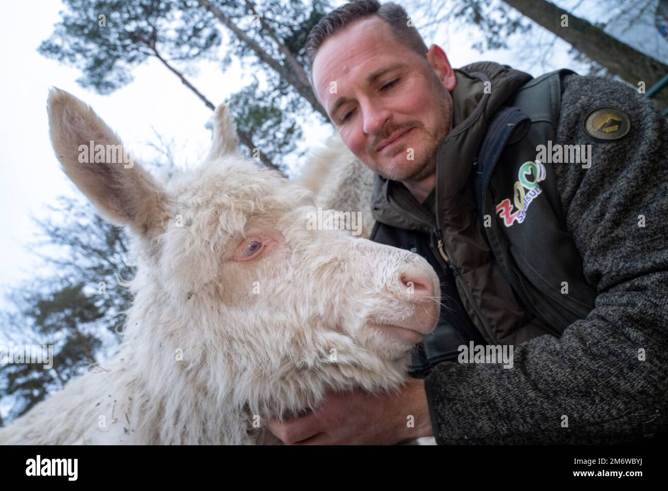 Stralsund, Germany. 05th Jan, 2023. Kay Deichfischer, zoo animal ...