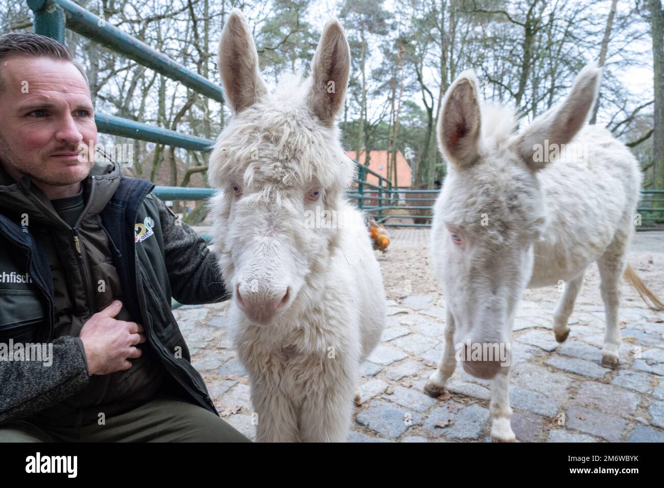 Stralsund, Germany. 05th Jan, 2023. Kay Deichfischer, zoo animal ...