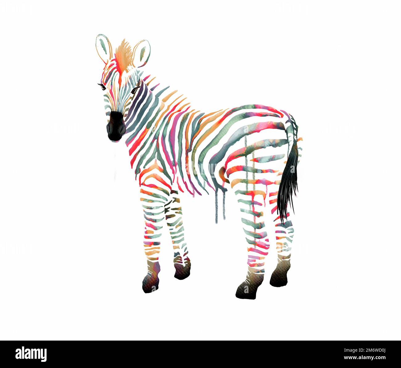 Black and yellow zebra Cut Out Stock Images & Pictures - Alamy