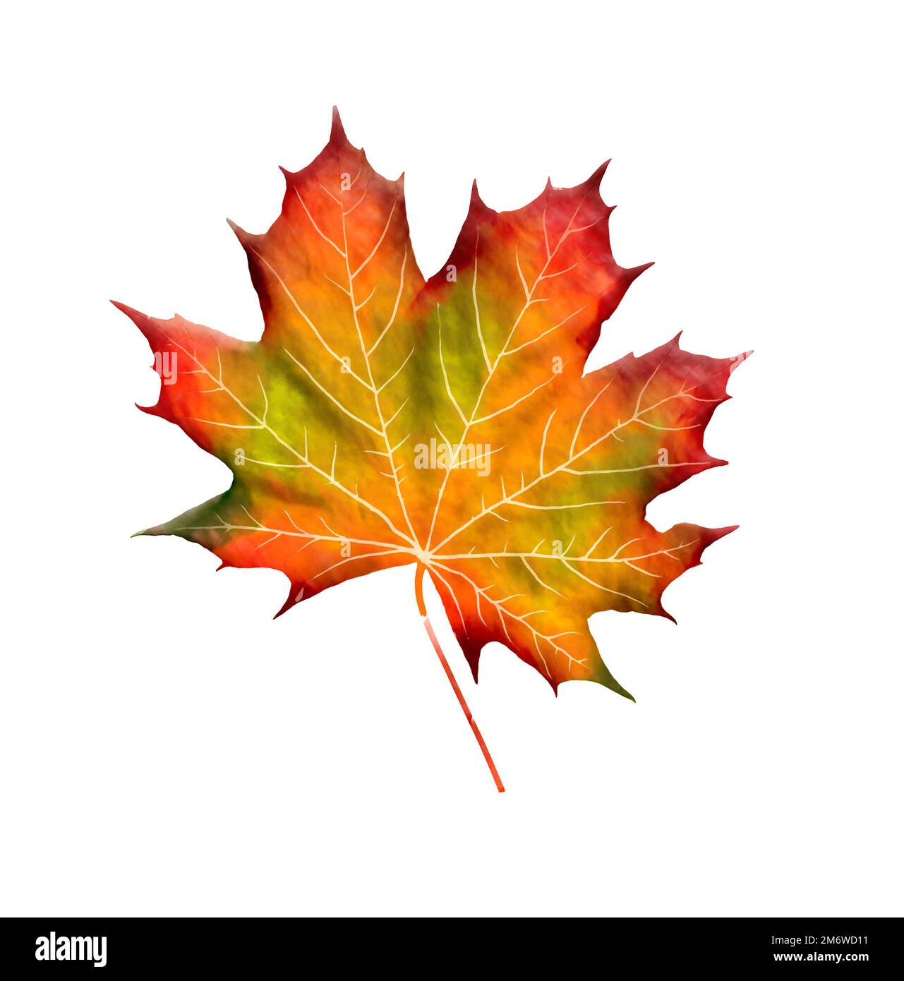 Bright yellow watercolor abstract Cut Out Stock Images & Pictures - Alamy